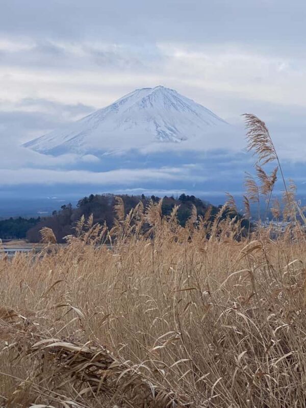 Mount Fuji Full Day Private Tour From Tokyo (Customizable) - Practical Considerations for Your Trip