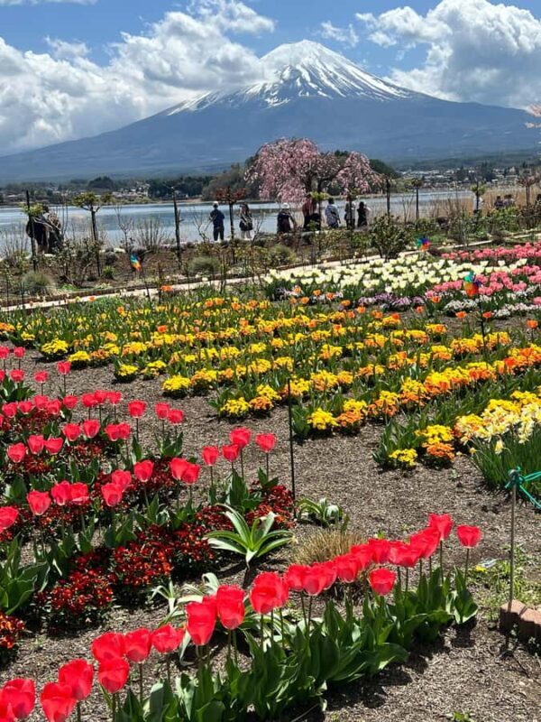 Mount Fuji Full-Day Private Tour from Tokyo (Customizable) - The Hakone Open-Air Museum
