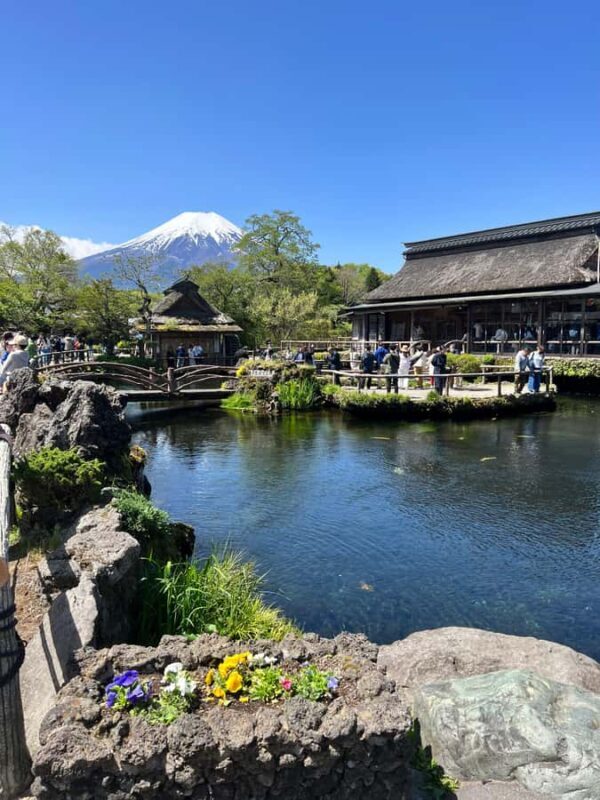 Mount Fuji Full-Day Private Tour from Tokyo (Customizable) - Scenic Cruise on Lake Ashi