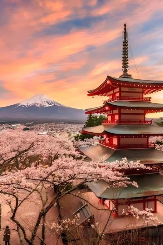 Mount Fuji Full-Day Private Tour from Tokyo (Customizable) - Key Points
