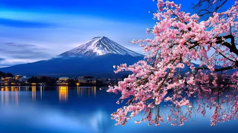 Mount Fuji Full-Day Private Tour from Tokyo (Customizable) - Why Choose This Tour? A Deep Dive