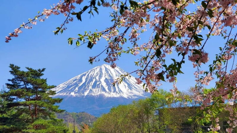 Mount Fuji Full-Day Private Tour from Tokyo (Customizable) - Key Points
