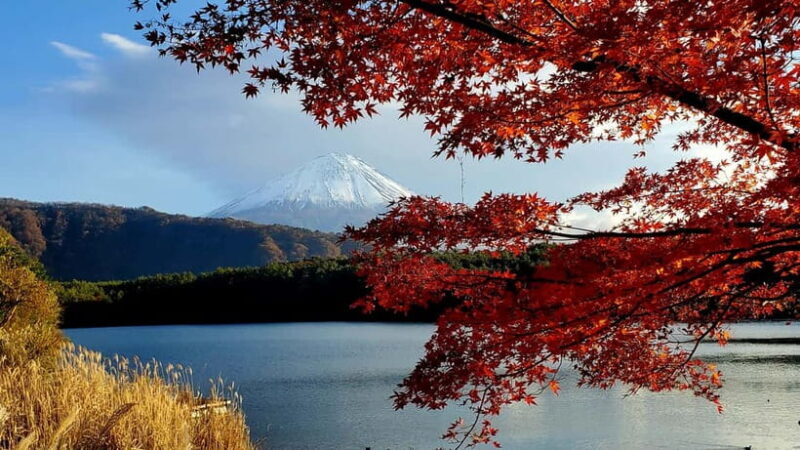 Mount Fuji Full-Day Private Tour from Tokyo (Customizable) - A Closer Look at the Experience