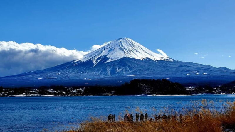 Mount Fuji Full-Day Private Tour from Tokyo (Customizable) - The Sum Up