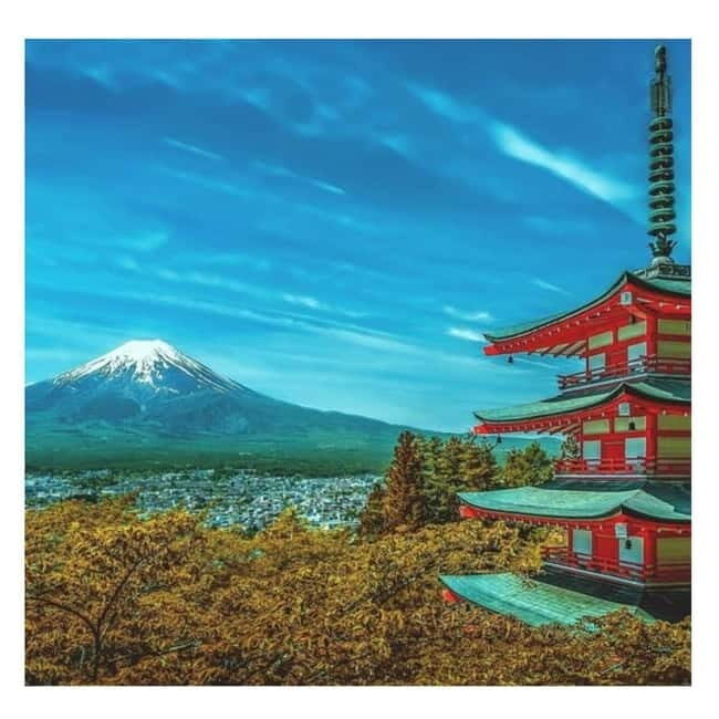 Mount Fuji Full Day Private Tour from Tokyo Full Customized - Key Points