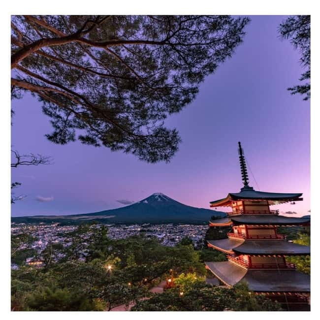 Mount Fuji Full Day Private Tour from Tokyo Full Customized - Final Thoughts