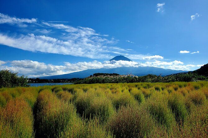 Mount Fuji Full-Day Private Tour from Yokohama Port Customizable - What Past Travelers Say