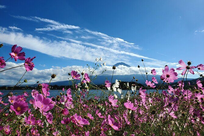 Mount Fuji Full-Day Private Tour from Yokohama Port Customizable - The Sum Up