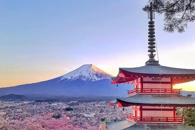 Mount Fuji full day private trip with English speaking driver - Key Points