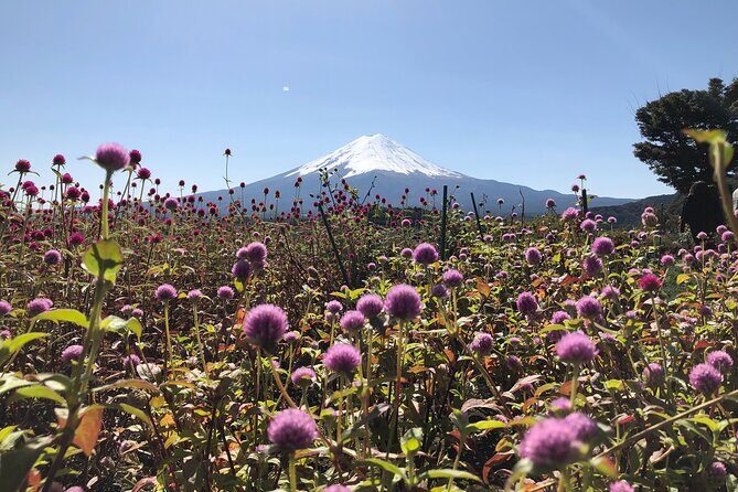 Mount Fuji Full Day Sightseeing Tour from Tokyo - Final Ascent: The Mount Fuji 5th Station