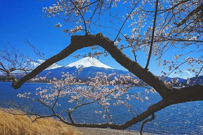 Mount Fuji Full Day Tour form Tokyo Lake Kawaguchi & Yamanaka - Key Points