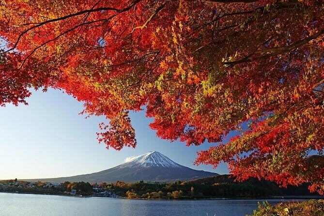 Mount Fuji Full Day Tour form Tokyo Lake Kawaguchi & Yamanaka - FAQ