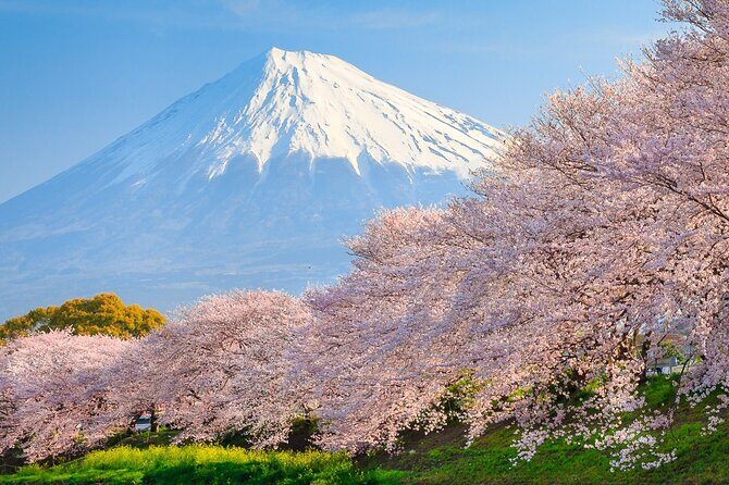 Mount Fuji & Hakone: 1-Day Private Van Tour with Hotel Pick-Up - Introduction