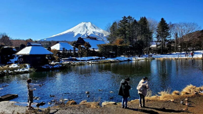 Mount Fuji & Hakone Full-Day Private Tour (Customizable) - Key Points