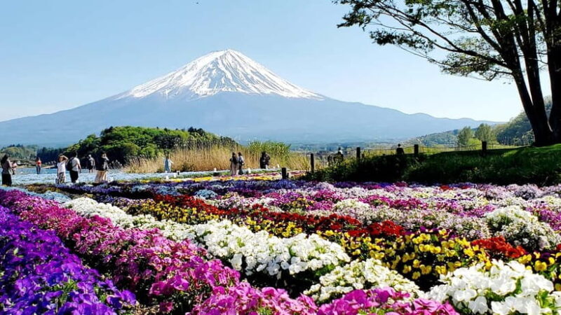 Mount Fuji & Hakone Full-Day Private Tour (Customizable) - A Deep Dive into the Experience