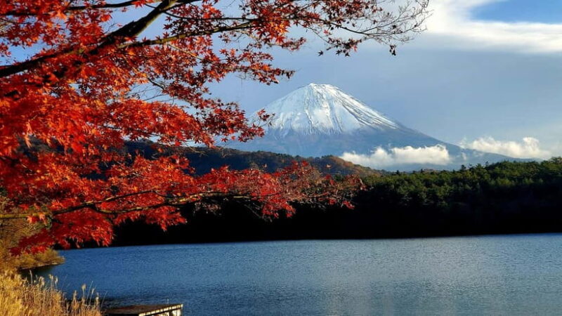 Mount Fuji & Hakone Full-Day Private Tour (Customizable) - Final Thoughts: Is This Tour Worth It?