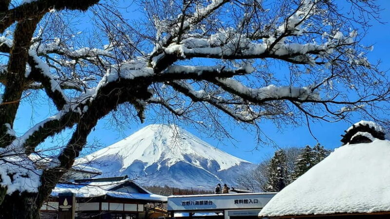 Mount Fuji & Hakone Full-Day Private Tour (Customizable) - FAQ