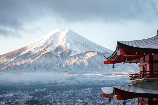 Mount Fuji, Hakone & Lakekawaguchiko Private Group Tour by Car. - Who Is This Tour Best For?