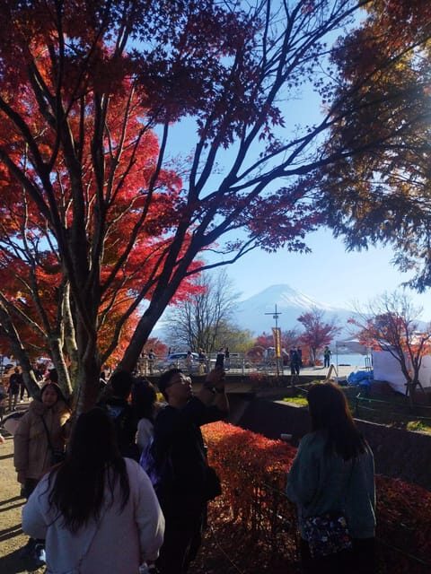 Mount Fuji - Hakone & Onsen Full Day Private Tour - Who Will Love This Tour