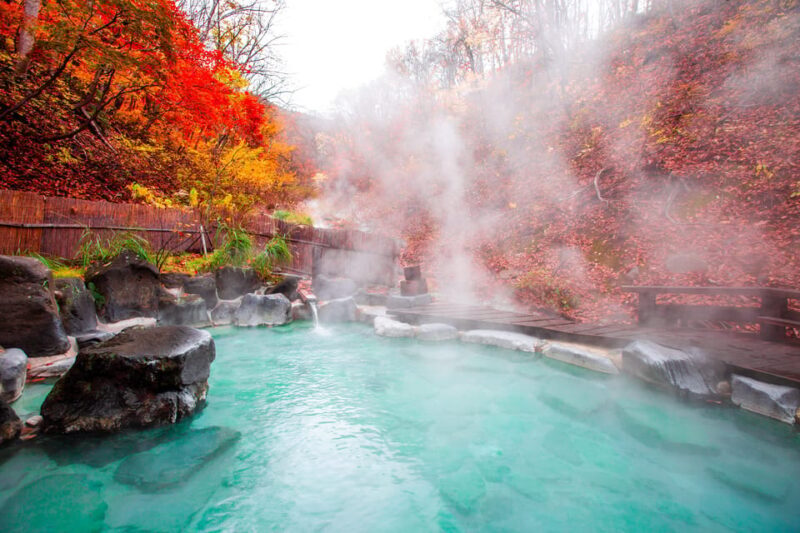 Mount Fuji - Hakone & Onsen Full Day Private Tour - FAQs