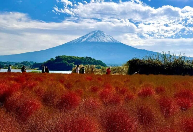 Mount Fuji & Hakone Private English Customized Tour - Key Points