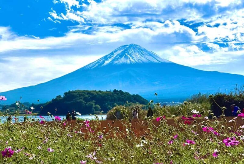 Mount Fuji & Hakone Private English Customized Tour - A Tour Designed for Flexibility and Personal Connection