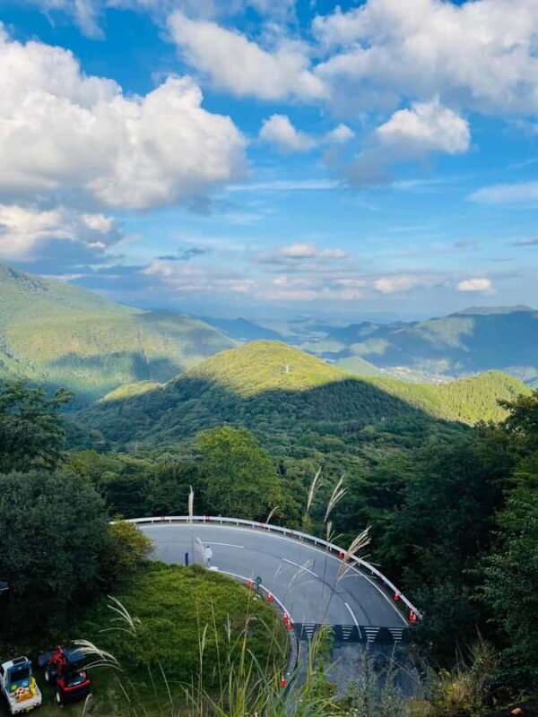 Mount Fuji & Hakone Private English Customized Tour - Who Should Consider This Tour?