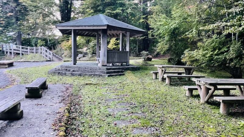 Mount Fuji & Hakone Private English Customized Tour - FAQ