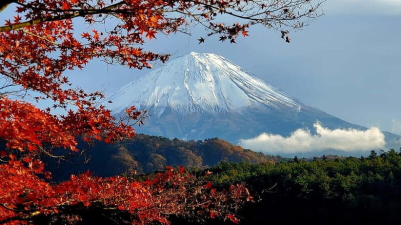 Mount Fuji & Hakone Private Tour with Bullet Train Return - Key Points
