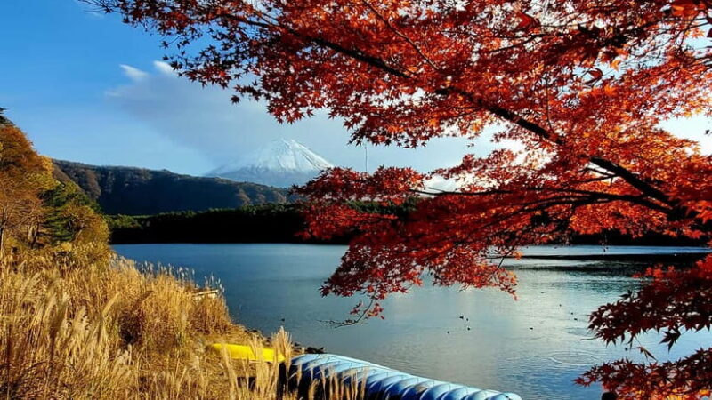 Mount Fuji & Hakone Private Tour with Bullet Train Return - The Itinerary in Detail: What You Can Expect