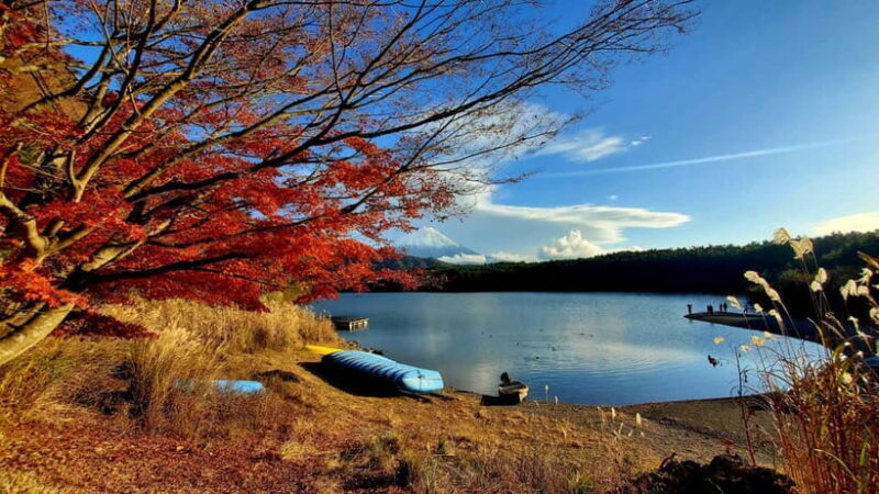 Mount Fuji & Hakone Private Tour with Bullet Train Return - Is This Tour Worth It?