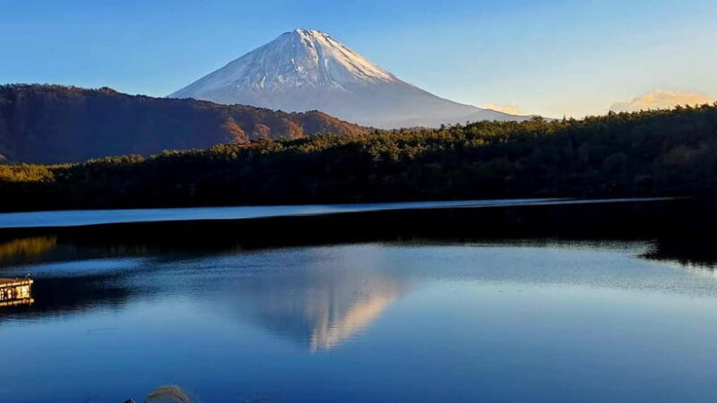 Mount Fuji & Hakone Private Tour with Bullet Train Return - Who Should Consider This Tour?