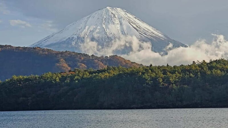 Mount Fuji & Hakone Private Tour with Bullet Train Return - FAQ: Practical Questions About the Tour