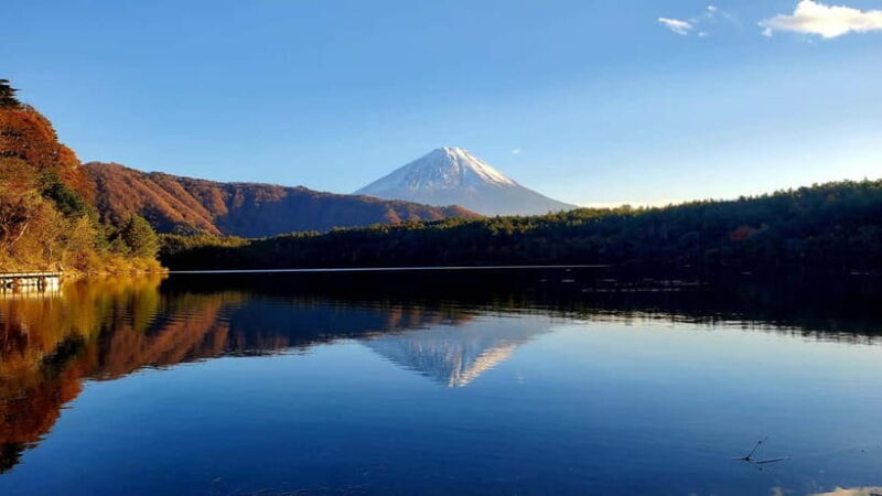 Mount Fuji & Hakone Private Tour with Bullet Train Return - References