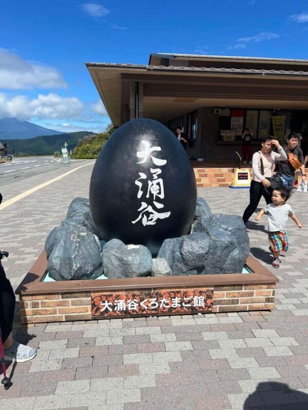 Mount Fuji & Hakone Private Tour with Cherry Blossoms - An In-Depth Look at the Mount Fuji & Hakone Private Tour