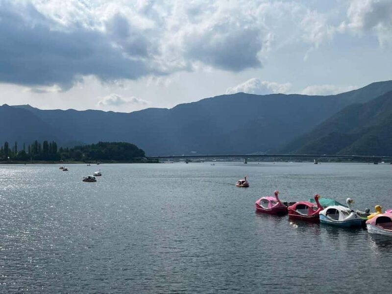 Mount Fuji & Hakone Private Tour with Cherry Blossoms - Who Should Consider This Tour?