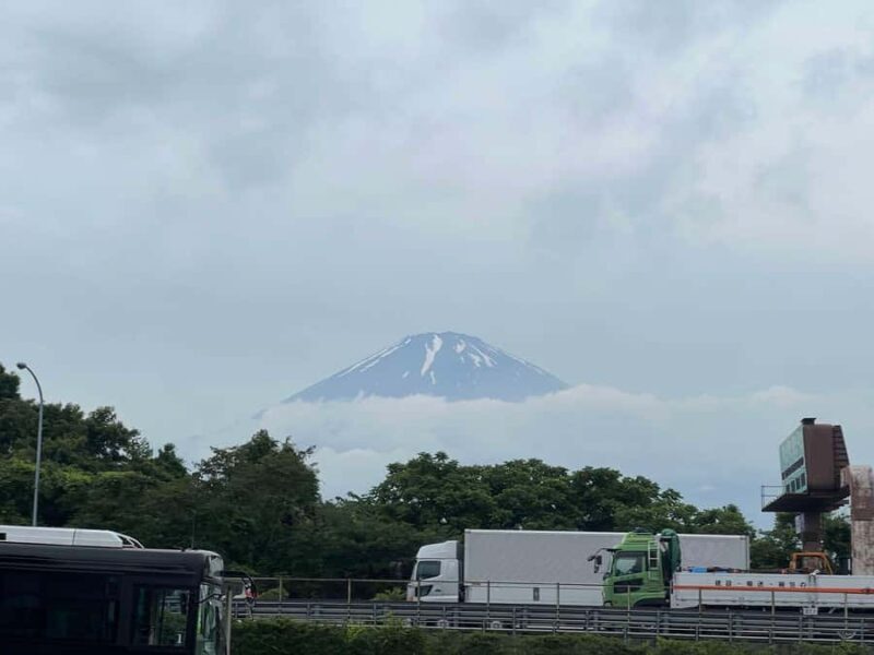 Mount Fuji & Hakone Private Tour with Cherry Blossoms - Final Thoughts