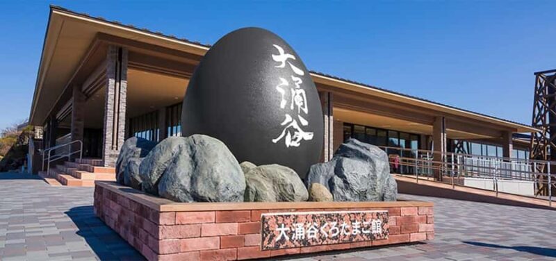 Mount Fuji Hakone Tour:Volcano, Cable Car & Lake Ashi Cruise - Who Is This Tour Best For?