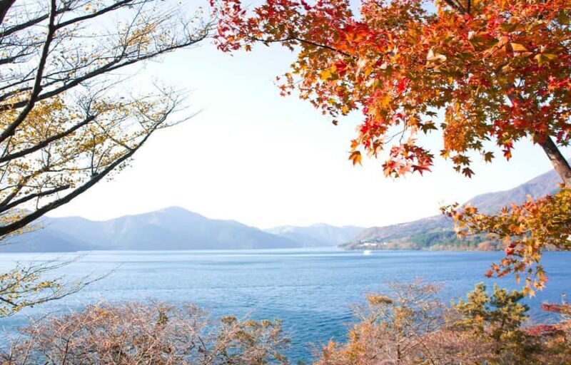 Mount Fuji Hakone Tour:Volcano, Cable Car & Lake Ashi Cruise - The Sum Up