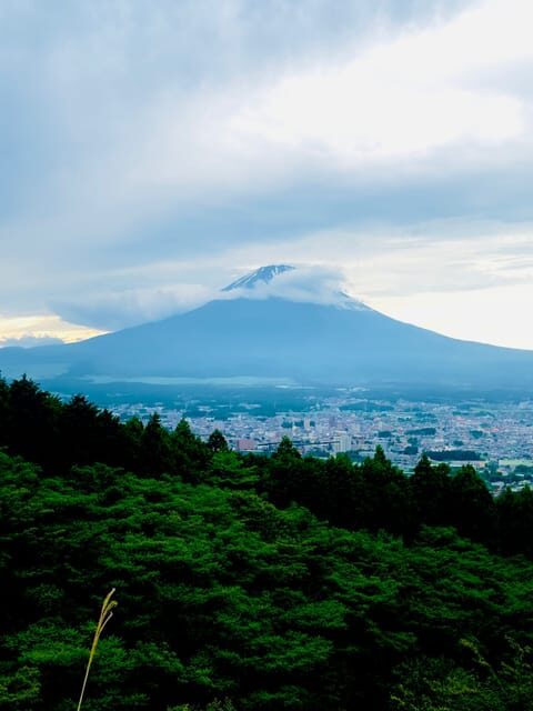 Mount Fuji Hakone with English-speaking Guide - Why You’ll Love This Tour