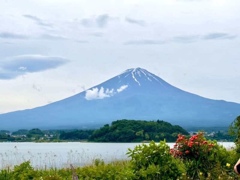 Mount Fuji Hakone with English-speaking Guide - What to Expect on the Day