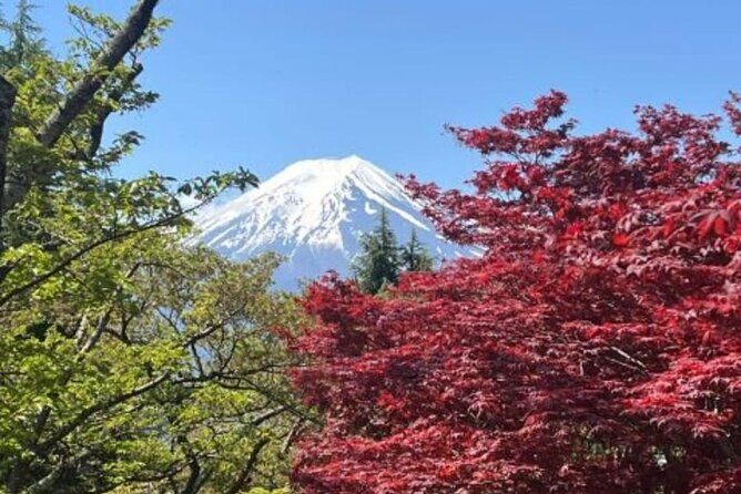 Mount Fuji & Lake Kawaguchi Day Trip with English-speaking Driver - Exploring the Itinerary in Detail