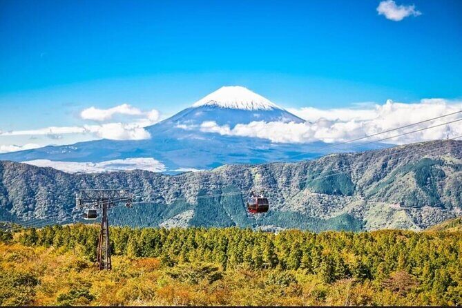 Mount Fuji & Lake Kawaguchi Day Trip with English-speaking Driver - FAQ