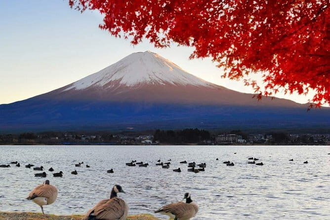 Mount Fuji & Lake Kawaguchi Group Day Tour from Tokyo - Key Points