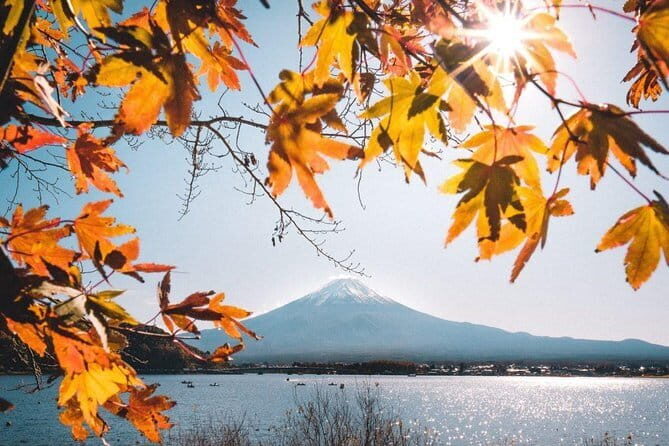 Mount Fuji & Lake Kawaguchi Group Day Tour from Tokyo - What You Can Expect on This Tour