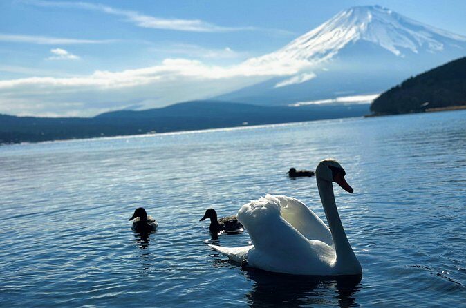 Mount Fuji (Mt. fuji) private tour by car with pickup from Tokyo - FAQ