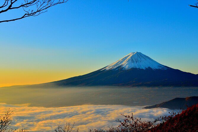 Mount Fuji (Mt. fuji) private tour by car with pickup from Tokyo - The Itinerary: What to Expect