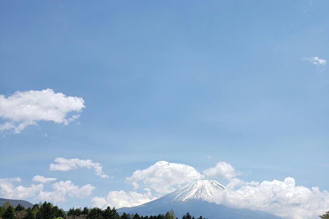 Mount Fuji (Mt. fuji) private tour by car with pickup from Tokyo - Who Will Love This Tour