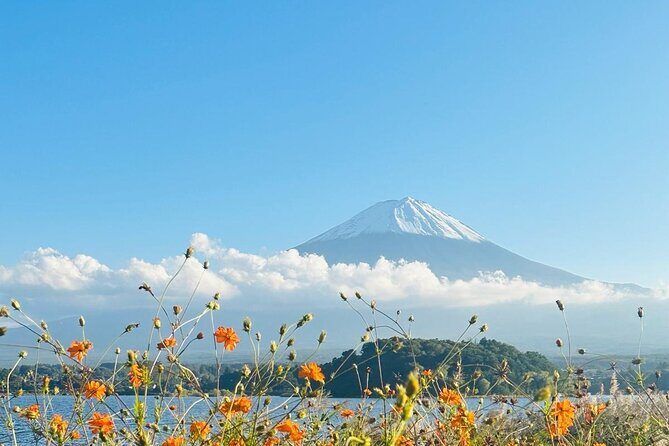Mount Fuji One Day Private Customizable Tour With English Driver - Key Points