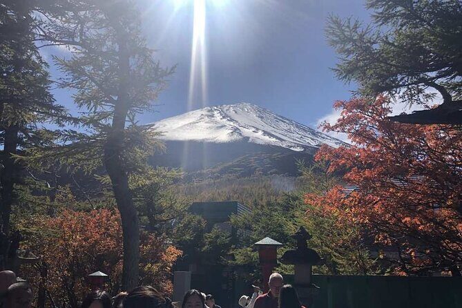 Mount Fuji, Oshino Hakkai and Park Sightseeing Day Tour - Key Points